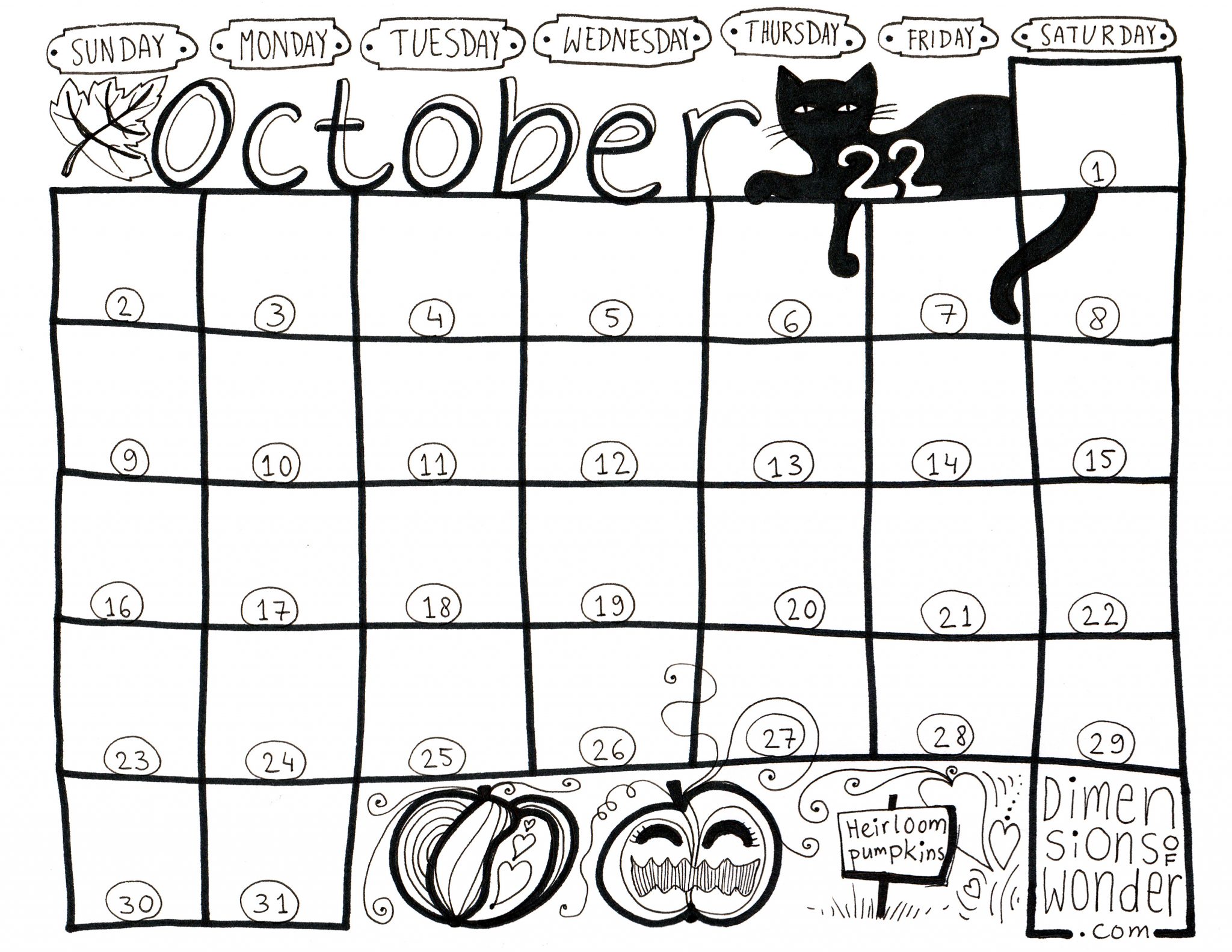 October, November, December. (2022) - Dimensions of Wonder
