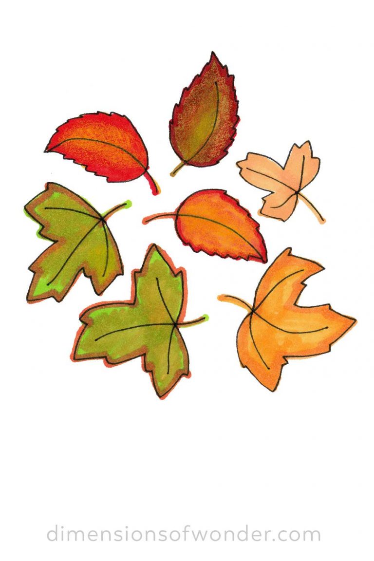 15+ Fall Doodles: Vibrant Pops Of Color & Cozy Vibes Galore