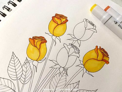 Rose Drawing How-To: Easy Step-by-Step Tutorial