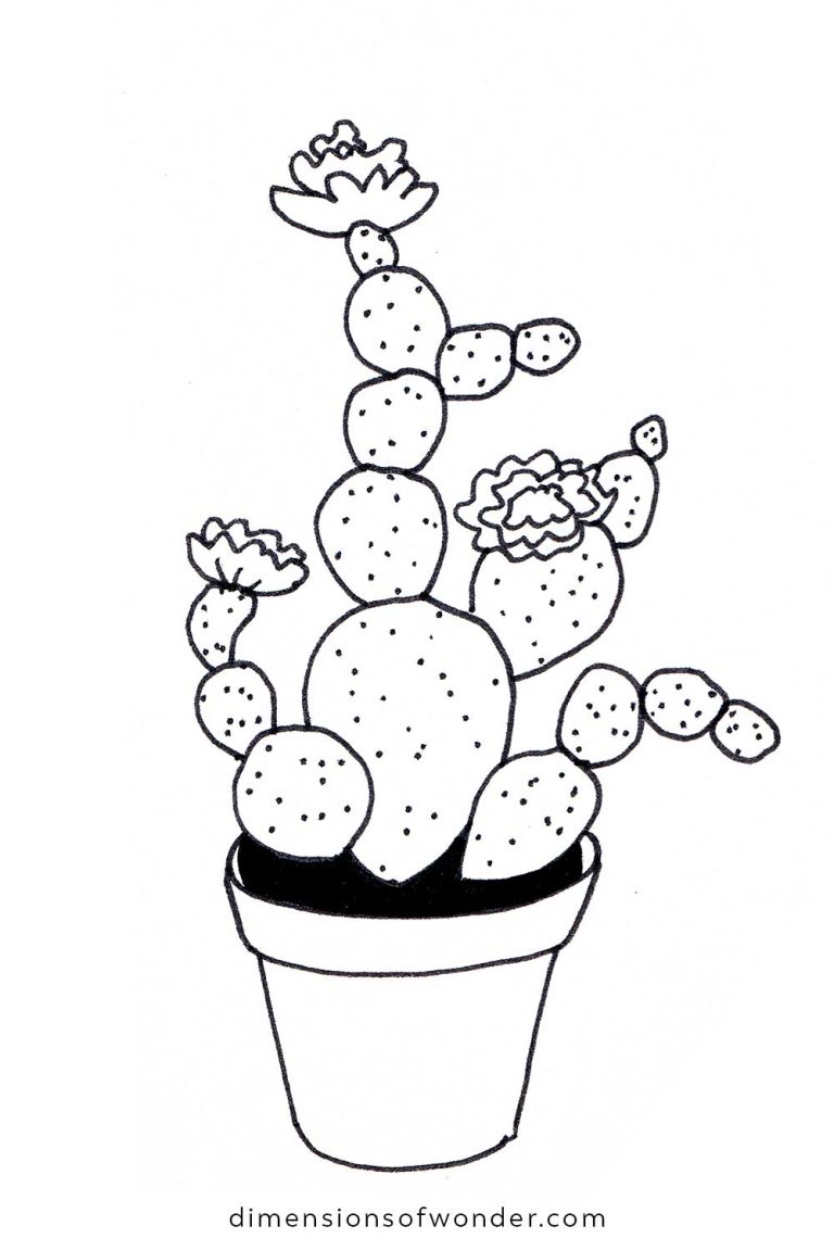 Easy Plants to Draw: 10 Fun Botanical Examples