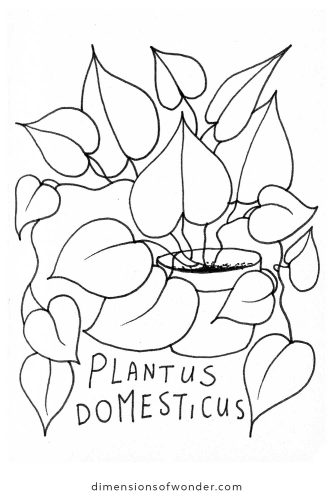 Easy Plants to Draw: 10 Fun Botanical Examples