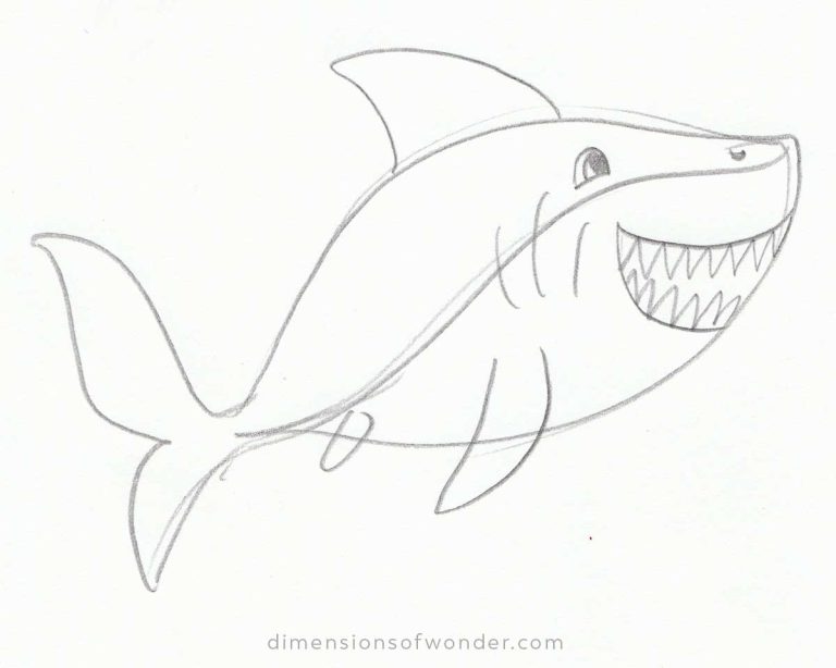 Shark Pencil Drawing Step-by-Step Tutorials [Cute & Realistic]