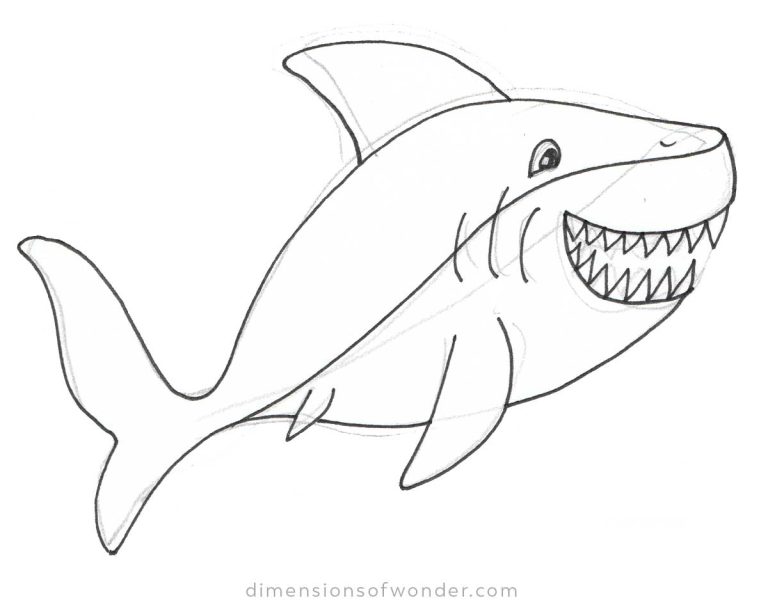 Shark Pencil Drawing Step-by-Step Tutorials [Cute & Realistic]