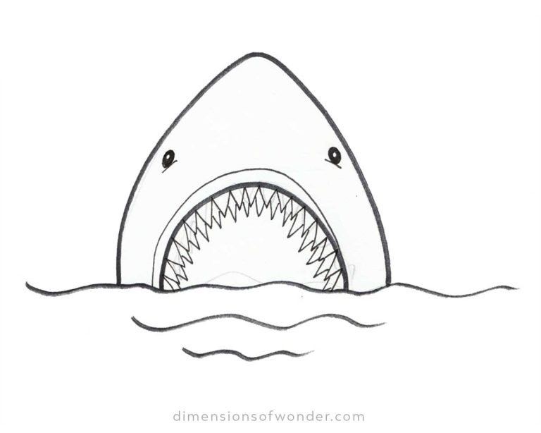 Shark Pencil Drawing Step-by-Step Tutorials [Cute & Realistic]