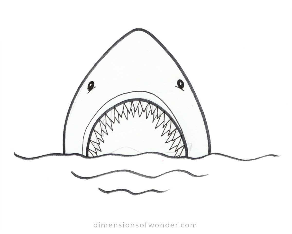 Shark Pencil Drawing Step-by-Step Tutorials [Cute & Realistic]