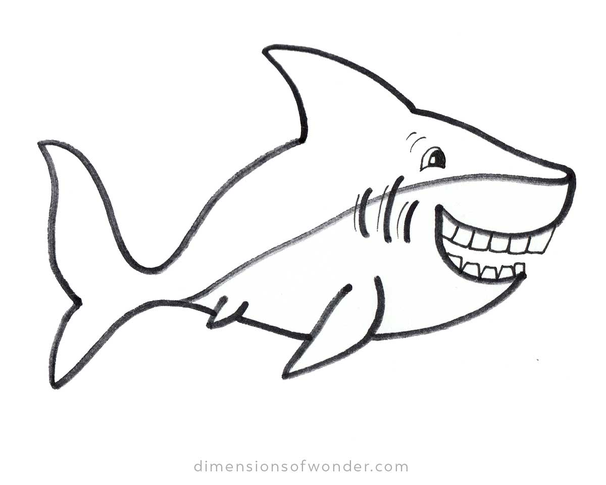 Shark Pencil Drawing Step-by-Step Tutorials [Cute & Realistic]