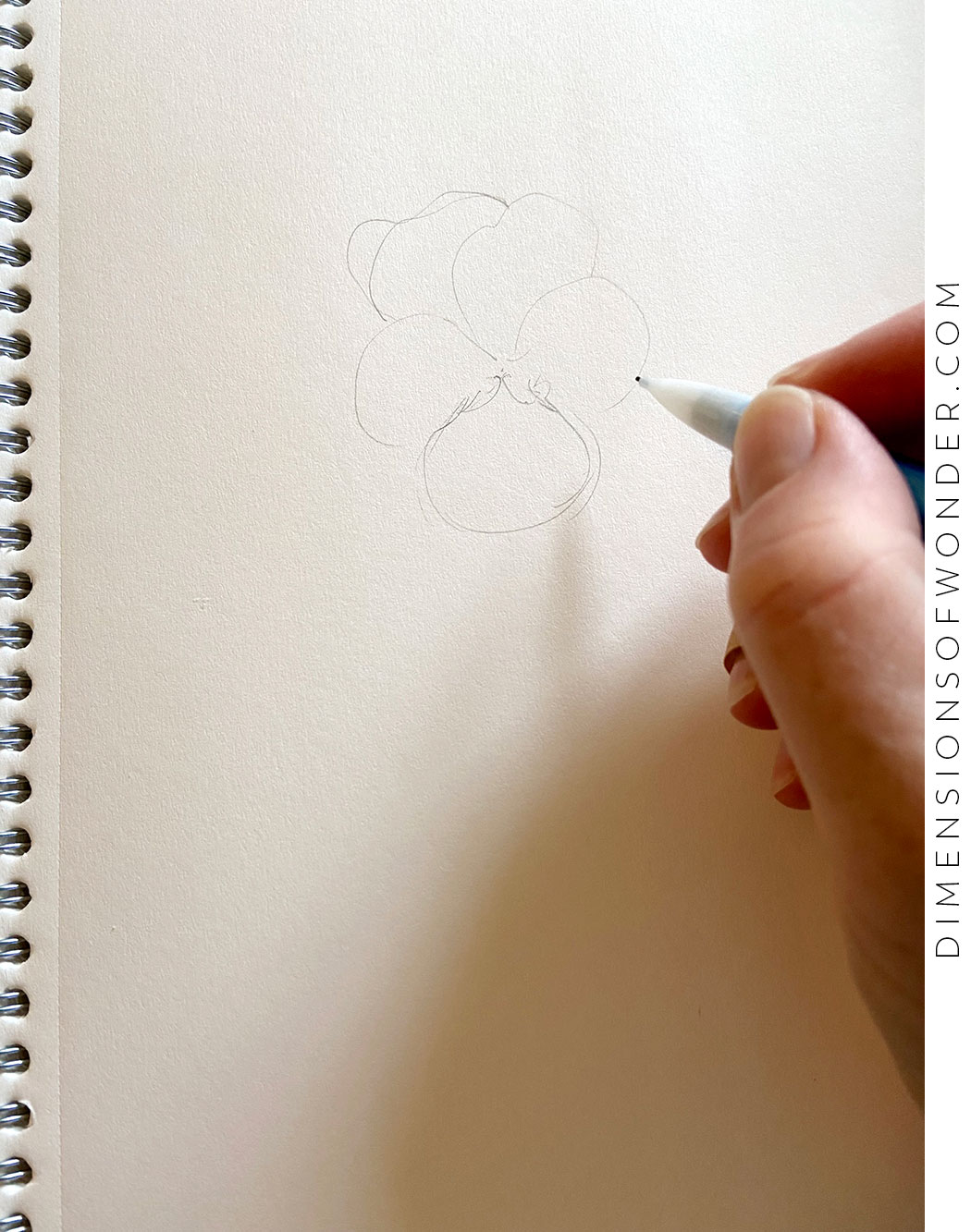 How To Draw A Violet Flower