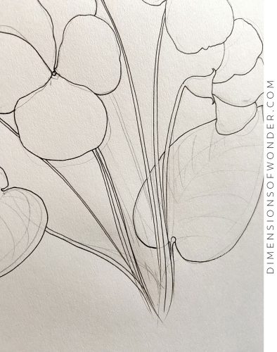 How To Draw A Violet Flower