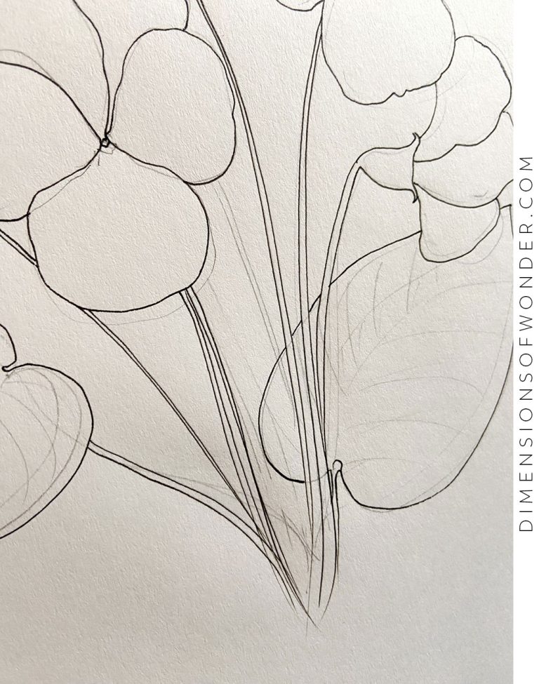 How To Draw A Violet Flower