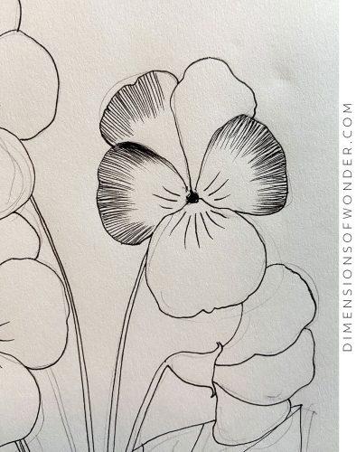 How To Draw A Violet Flower