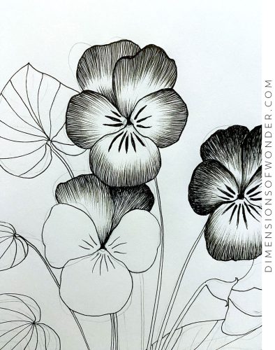 How To Draw A Violet Flower