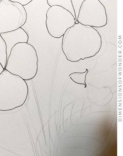 How To Draw A Violet Flower
