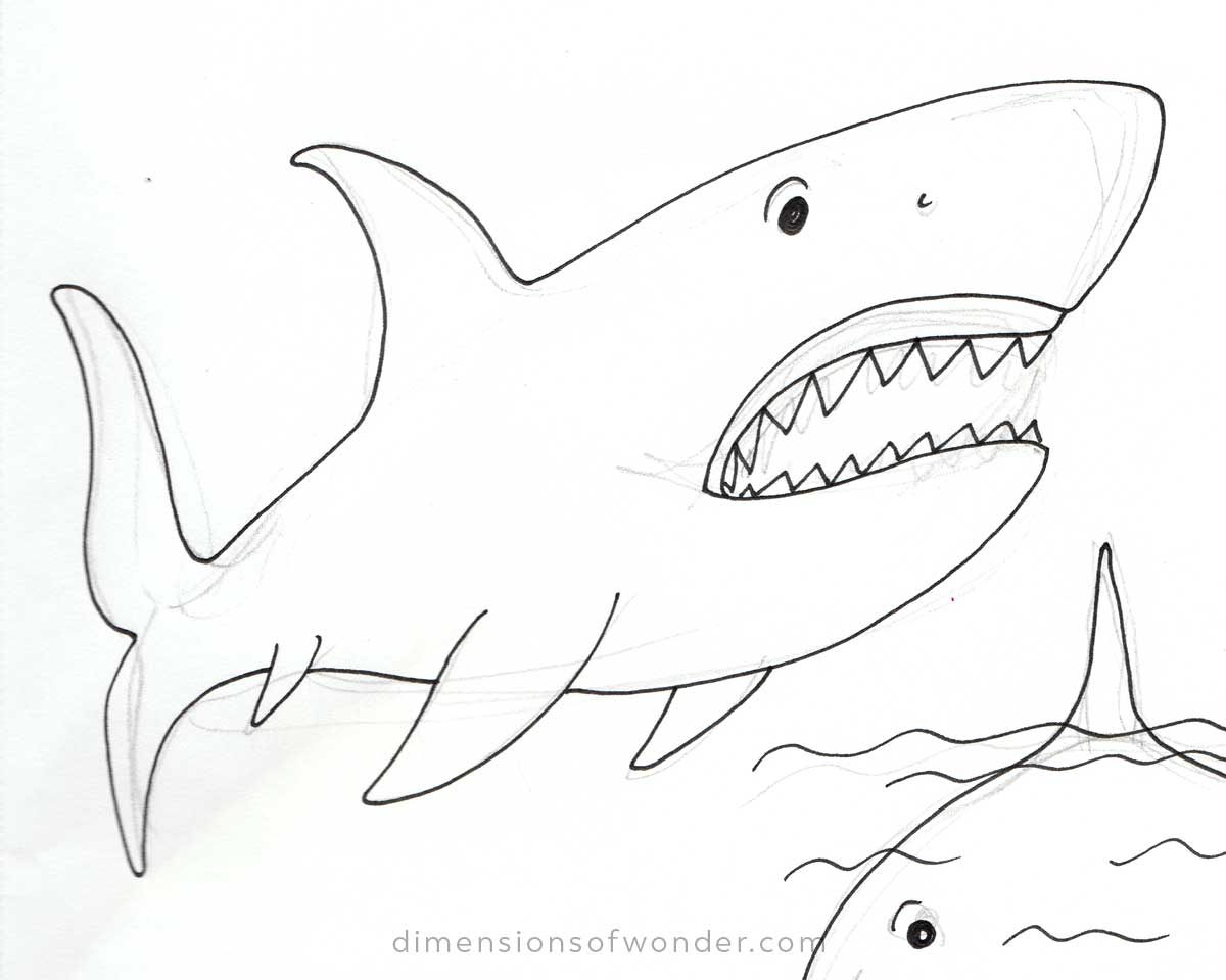 Shark Pencil Drawing Step-by-Step Tutorials [Cute & Realistic]