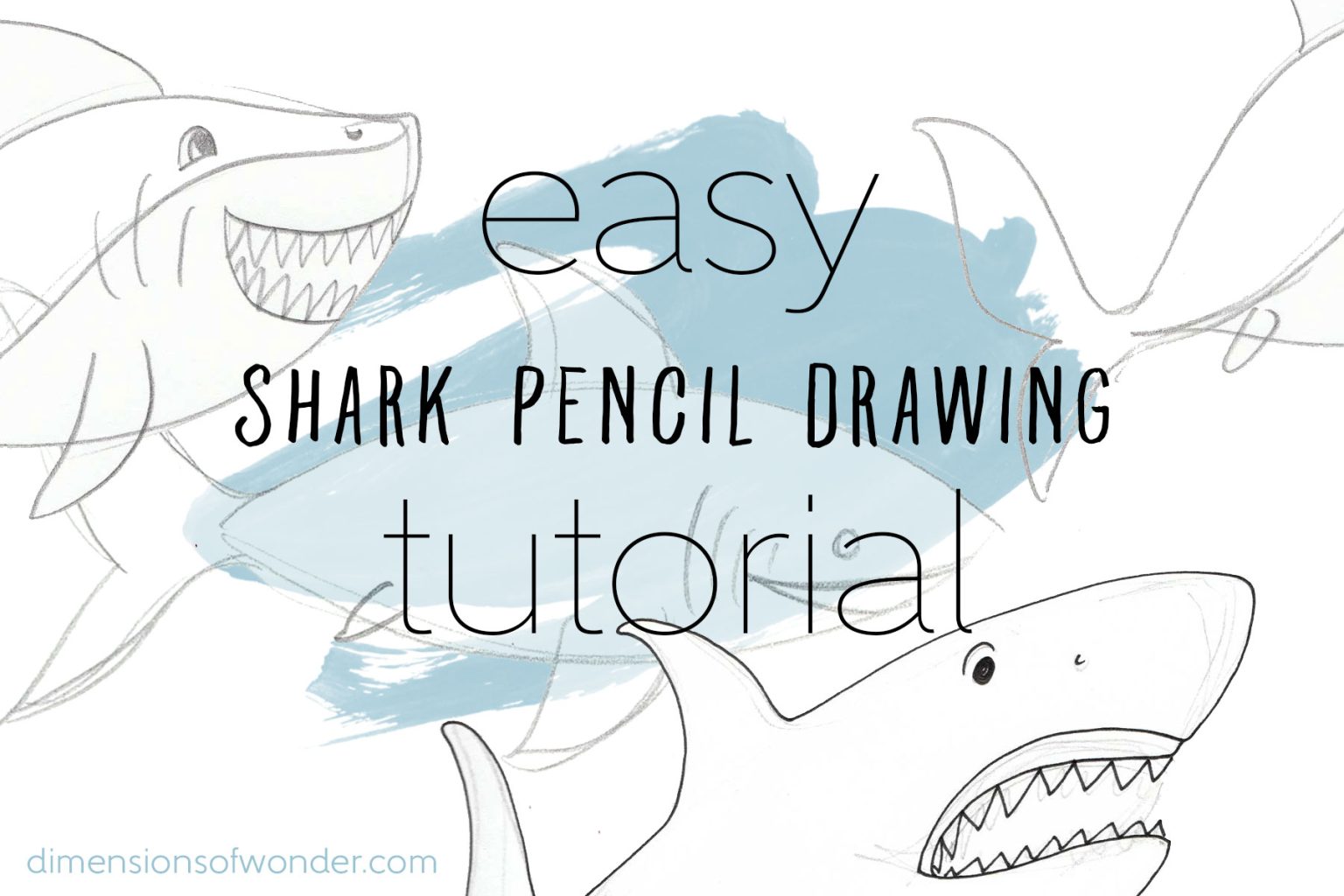 Shark Pencil Drawing Step-by-Step Tutorials [Cute & Realistic]