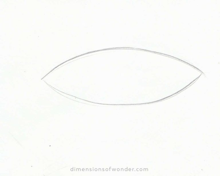 Shark Pencil Drawing Step-by-Step Tutorials [Cute & Realistic]