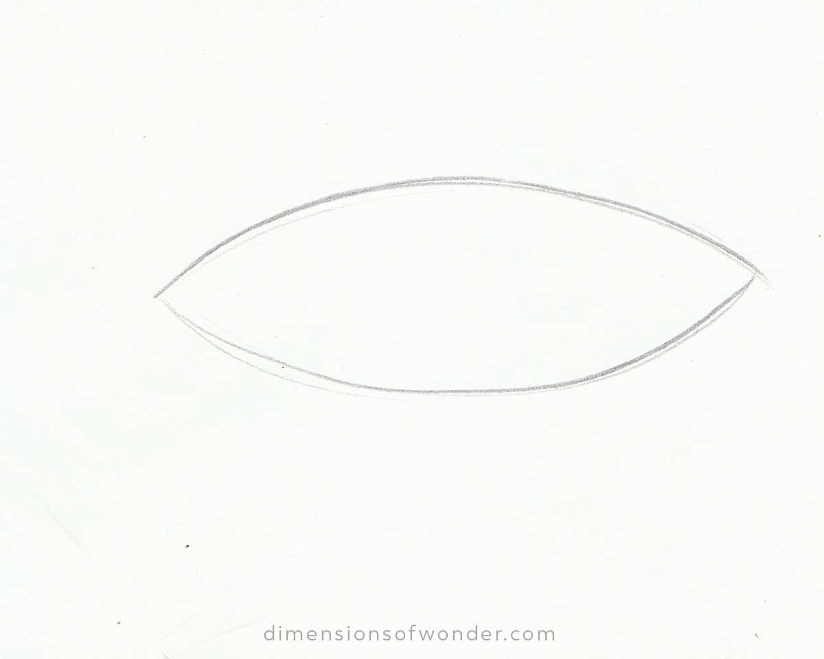 Shark Pencil Drawing Step-by-Step Tutorials [Cute & Realistic]