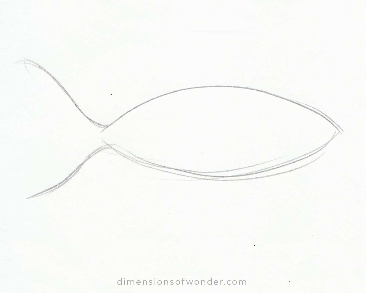 Shark Pencil Drawing Step-by-Step Tutorials [Cute & Realistic]
