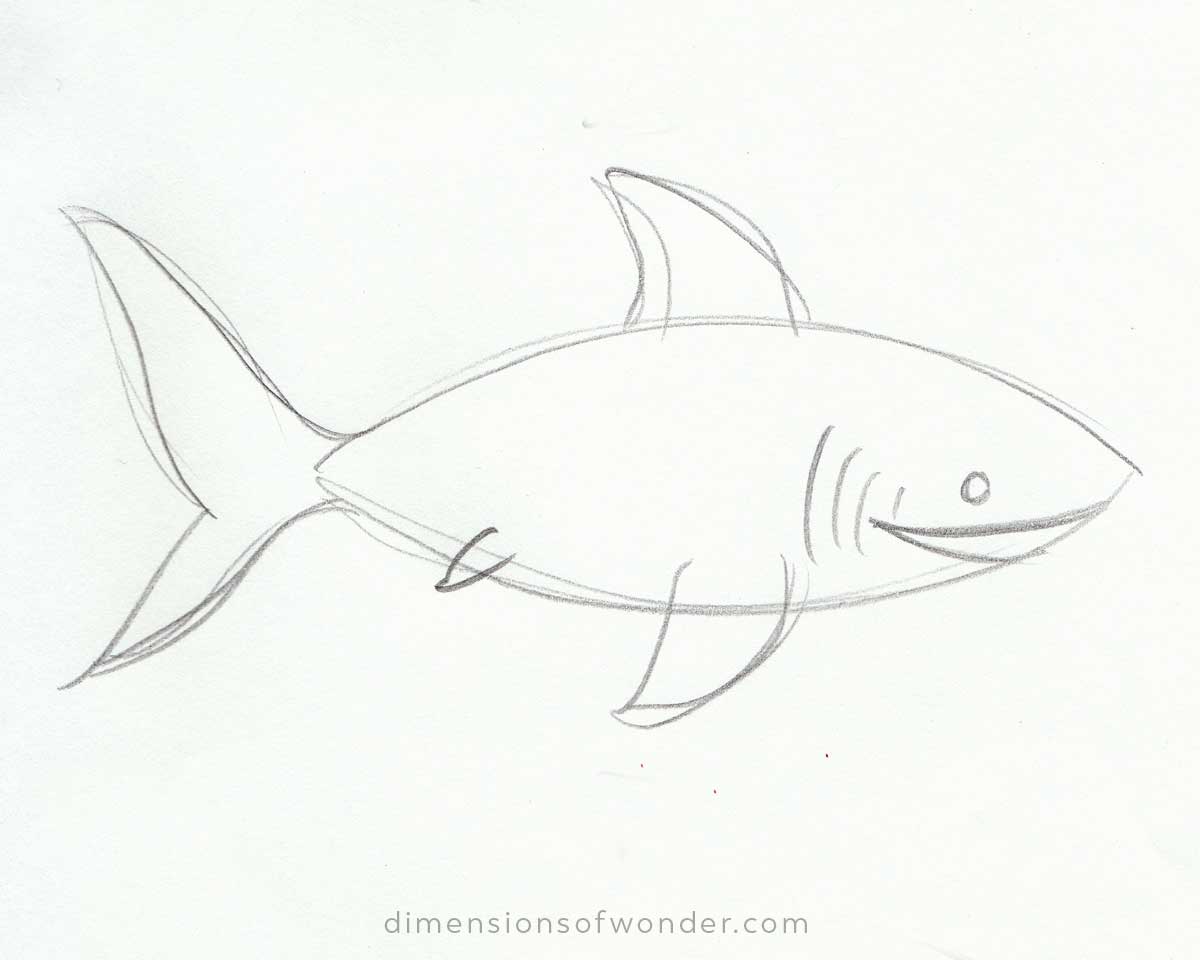 Shark Pencil Drawing Step-by-Step Tutorials [Cute & Realistic]