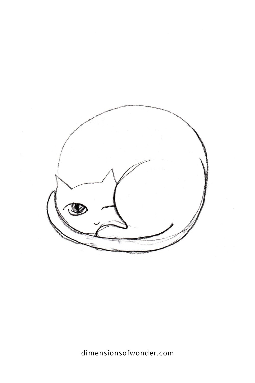 10 Cat Drawing Ideas