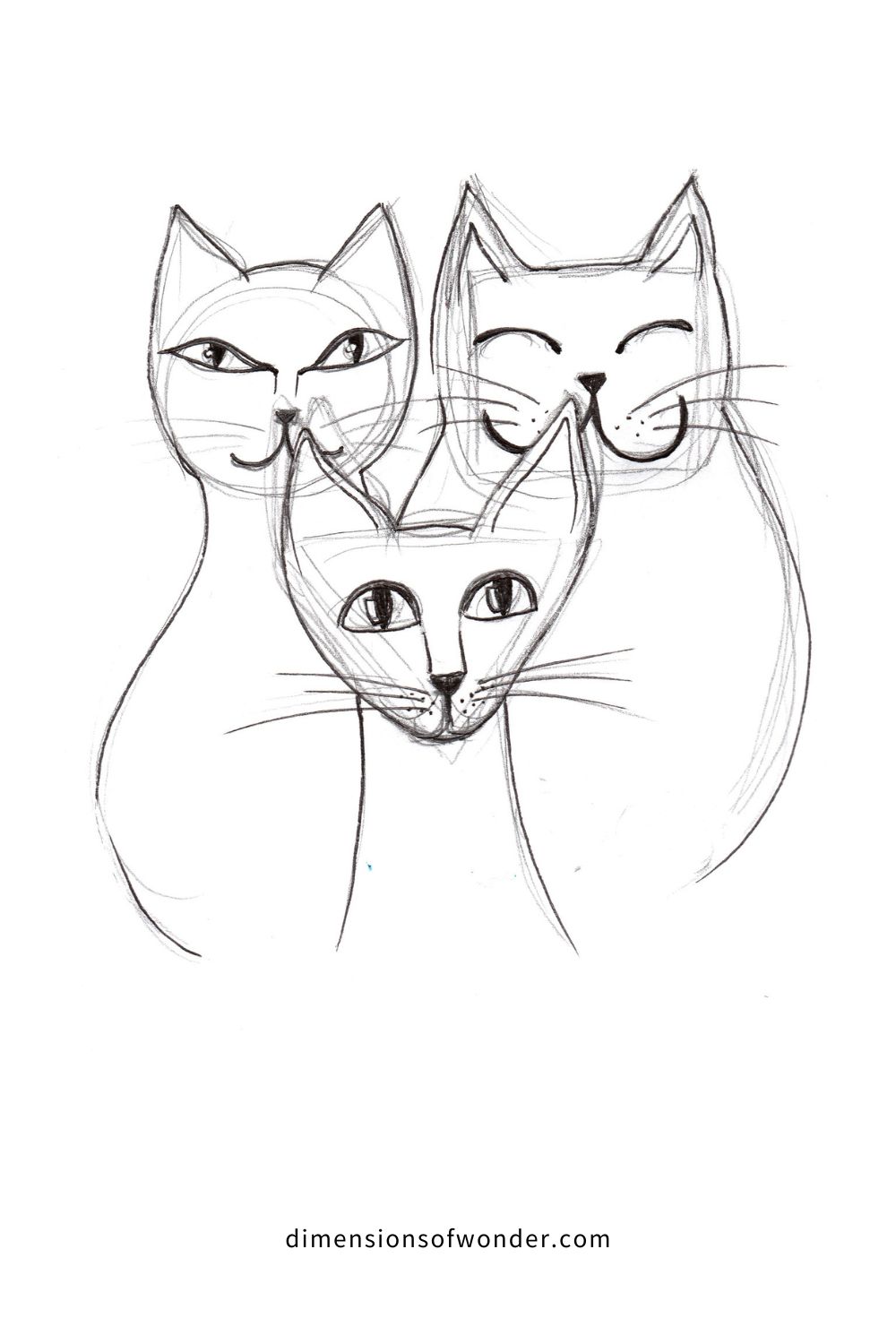 10 Cat Drawing Ideas