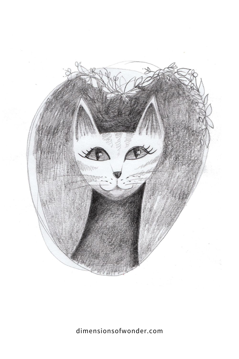 10 Cat Drawing Ideas